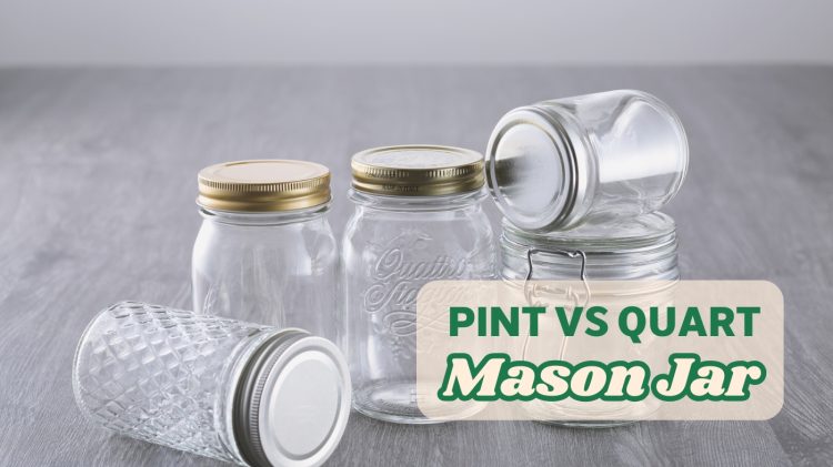 Pint vs Quart Mason Jar: Which One is Right for You?